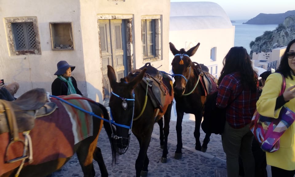Santorini: Small-Group Highlights Tour of Venetian Castles | GetYourGuide