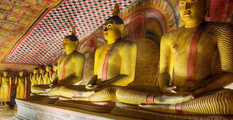 Z Negomba: Safari v jeskyních Dambulla a národním parku Kaudulla | GetYourGuide