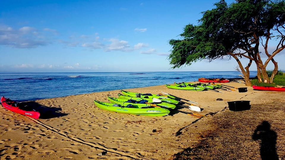 Maui: West Side Discovery Kayak & Snorkel from UKUMEHAME | GetYourGuide