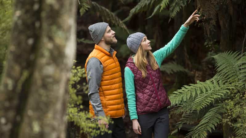 Waimangu: Volcanic Valley Walk and Lake Rotomahana Cruise | GetYourGuide