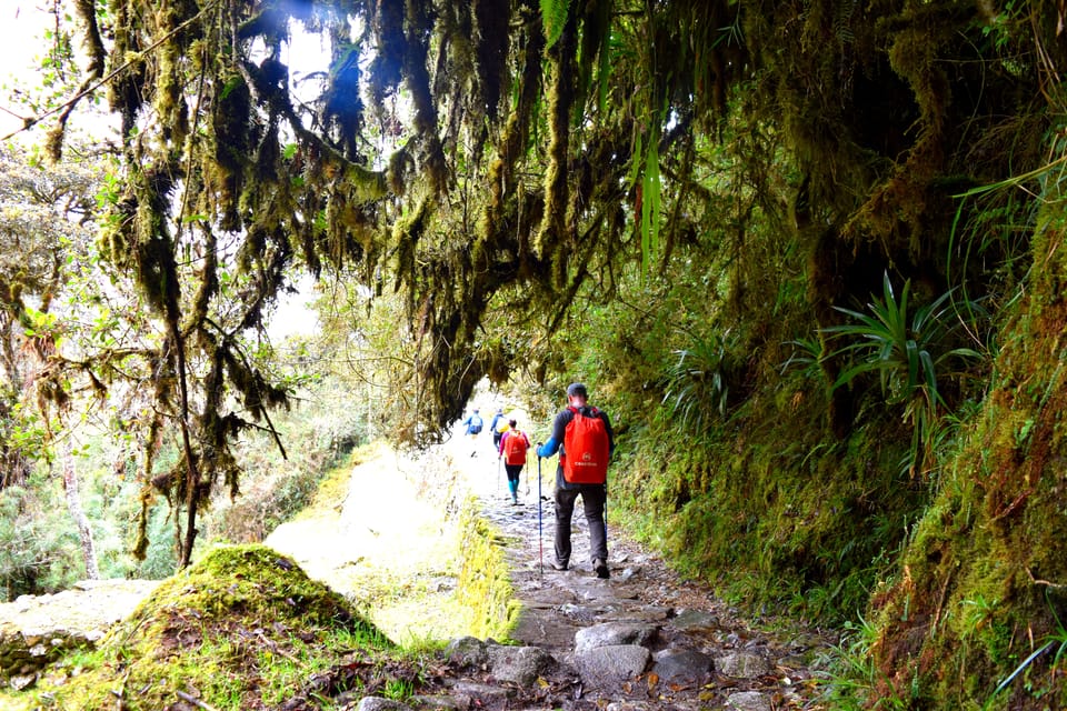 Fra Cusco: 7-dages vandretur til Machu Picchu via Inka Trail | GetYourGuide