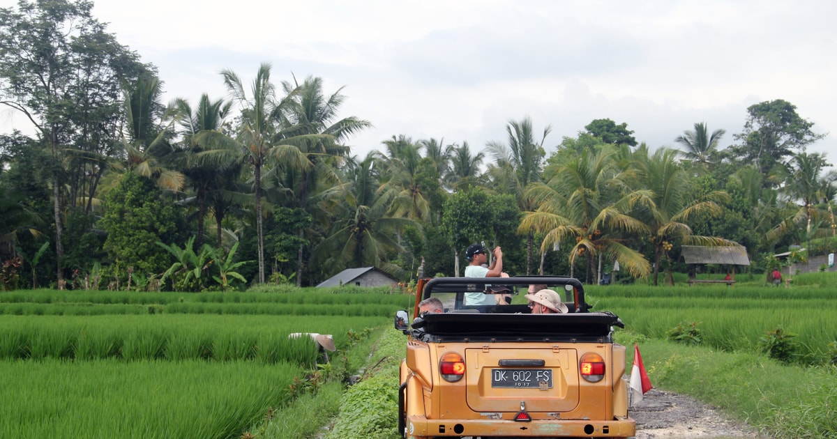 Câmpurile de orez și vulcanii din Bali într-un VW Cabriolet de epocă ...