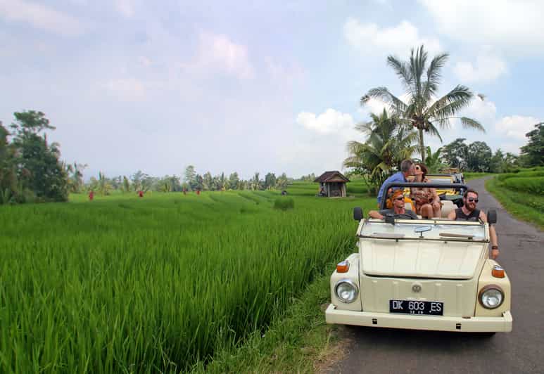 Câmpurile de orez și vulcanii din Bali într-un VW Cabriolet de epocă ...