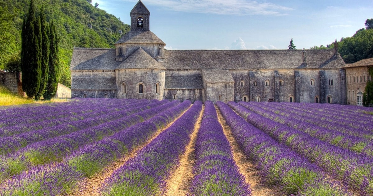 Visite privée de la lavande de Provence | GetYourGuide