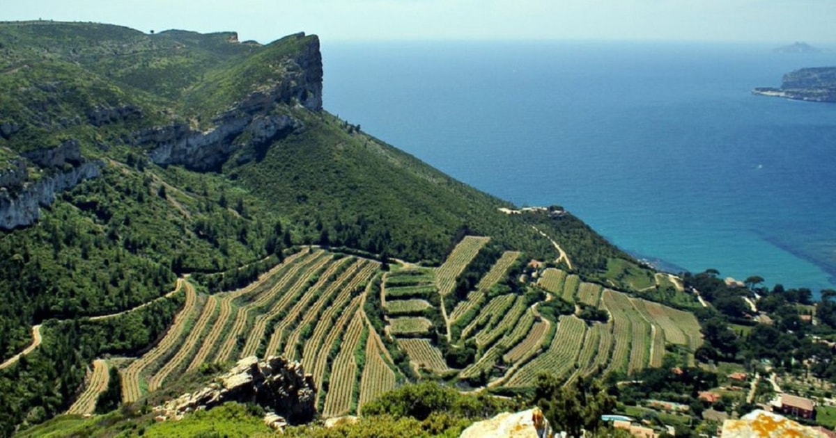 From Marseille: Bandol/Cassis Wine Tour with Viewpoint | GetYourGuide