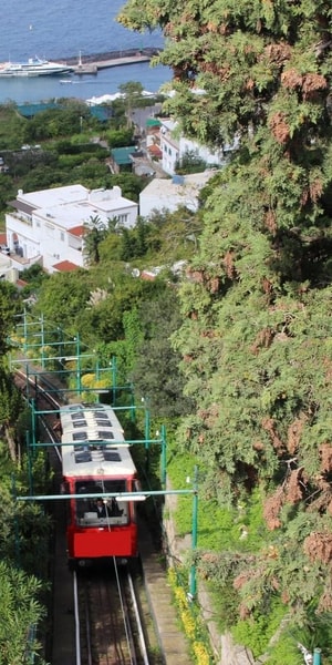 Capri: Boat Tour, Blue Grotto, Funicular, Lunch DIY Package | GetYourGuide