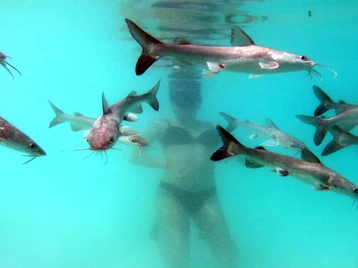 Bacalar: Magnífico tour en barco por la Laguna de Bacalar | GetYourGuide