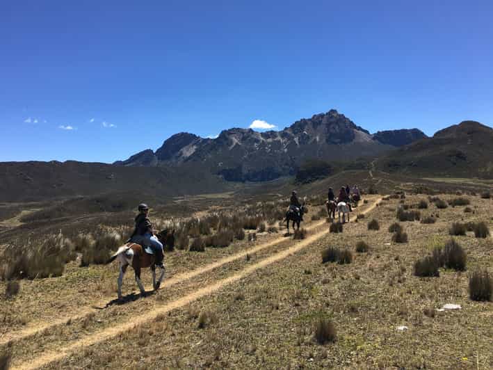 Cotopaxi Horseback Riding Tour from Quito | GetYourGuide