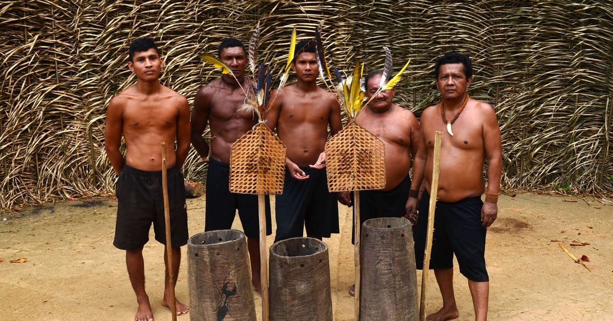 From Manaus: Tucandeira Ants Tribe Ritual Full Day Trip | GetYourGuide