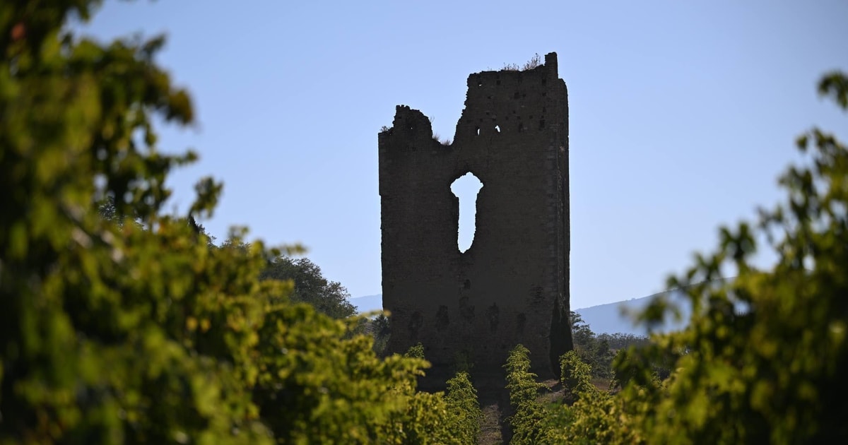 Torre Raone: the tradition of the vineyards | GetYourGuide