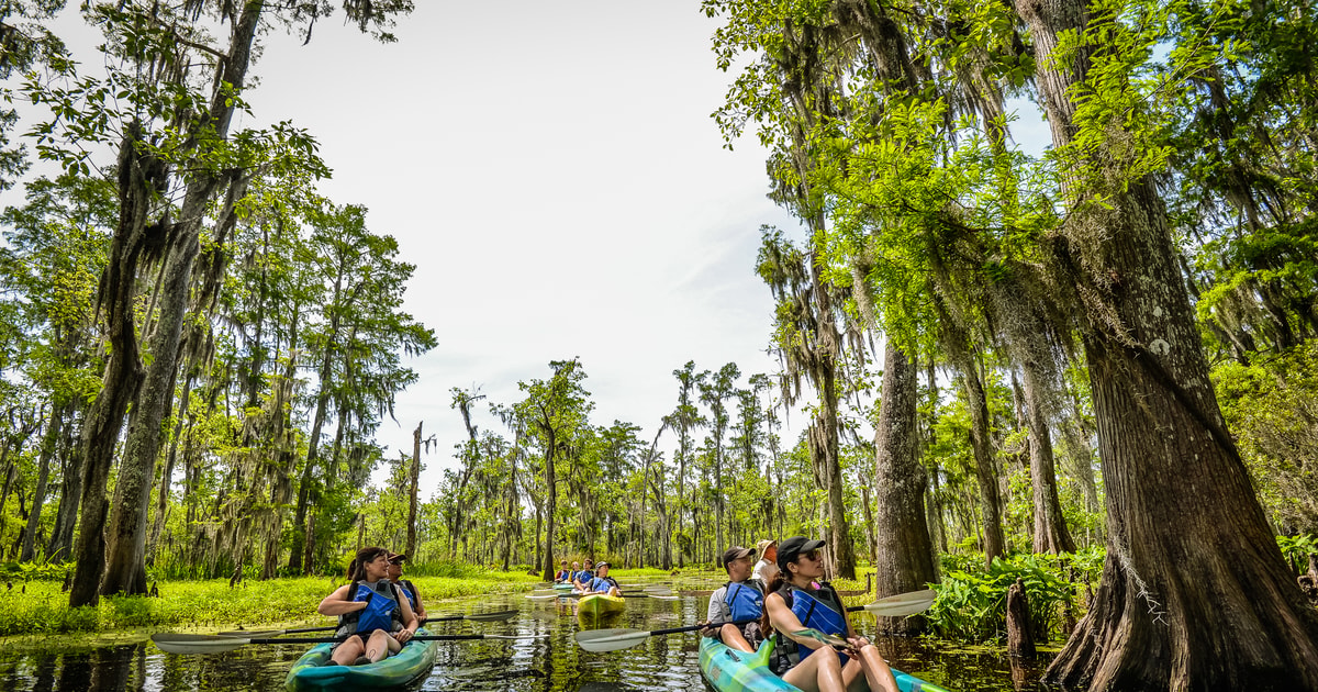 New Orleans: Manchac Magic Kayak Swamp Tour | GetYourGuide