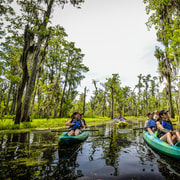 New Orleans: Manchac Magic Kayak Swamp Tour | GetYourGuide