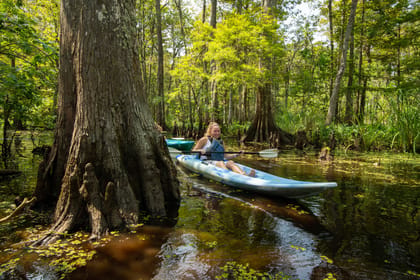 New Orleans: Manchac Magic Kayak Swamp Tour | GetYourGuide