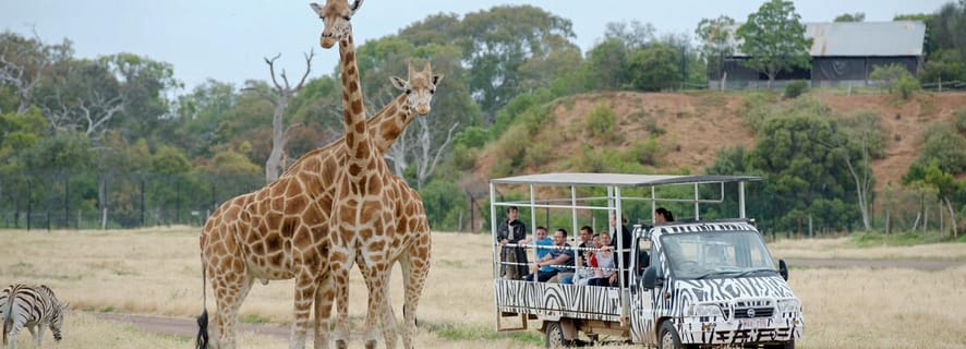 Zoos Victoria | GetYourGuide Supplier