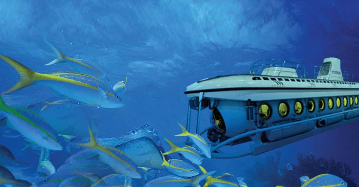 Hurghada : Sindbad Submarines Red Sea Underwater Adventure (Aventure ...