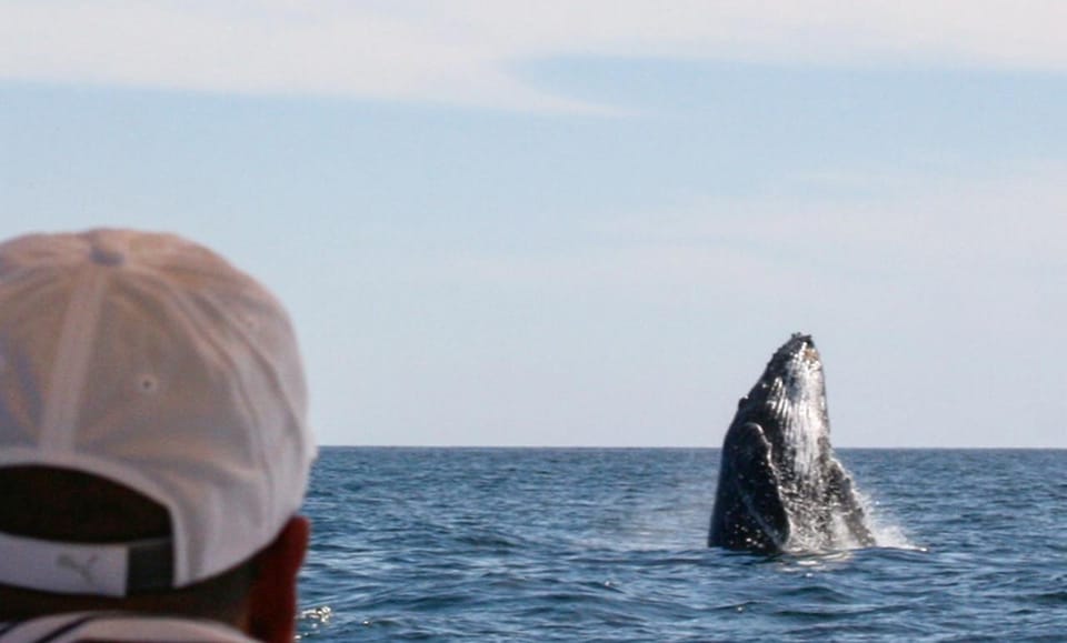 San Jose del Cabo Wildlife Encounter | GetYourGuide