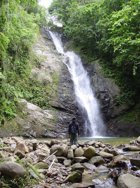Tropical Rainforest Waterfall and Natadola Beach Tour | GetYourGuide