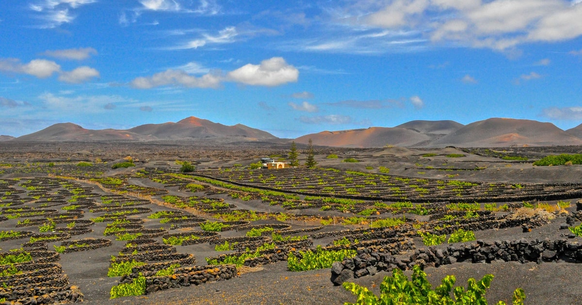 Lanzarote: Vulkanen van Timanfaya en Grotten Tour met Lunch | GetYourGuide