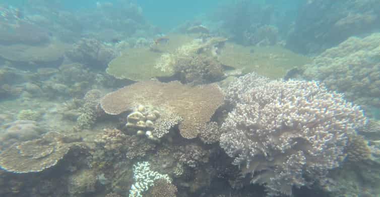 Bali: Labuan Amuk Snorkeling with Lunchbox | GetYourGuide