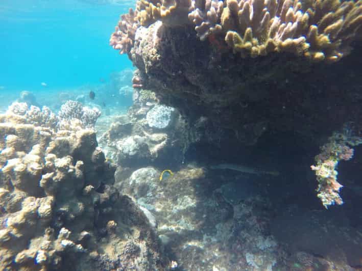 Bali: Labuan Amuk Snorkeling with Lunchbox | GetYourGuide