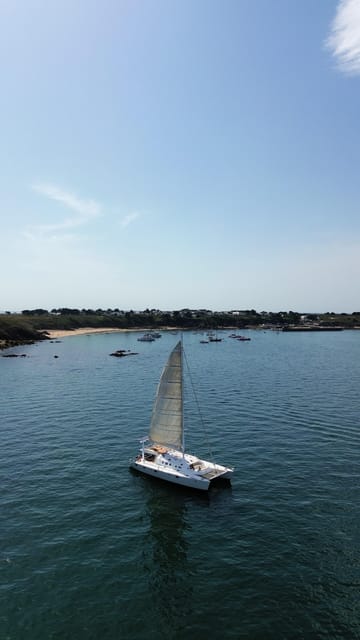 Mini croisière sur maxi catamaran(Trinité-sur-mer/Belle-Ile) | GetYourGuide
