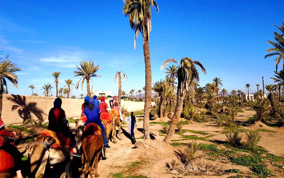 Marrakech: Half-day Dunes Trip With Buggy and Camel Ride | GetYourGuide