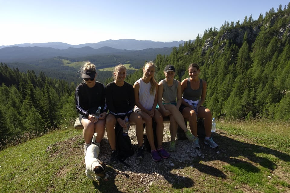 Excursión panorámica en los Alpes Julianos | GetYourGuide