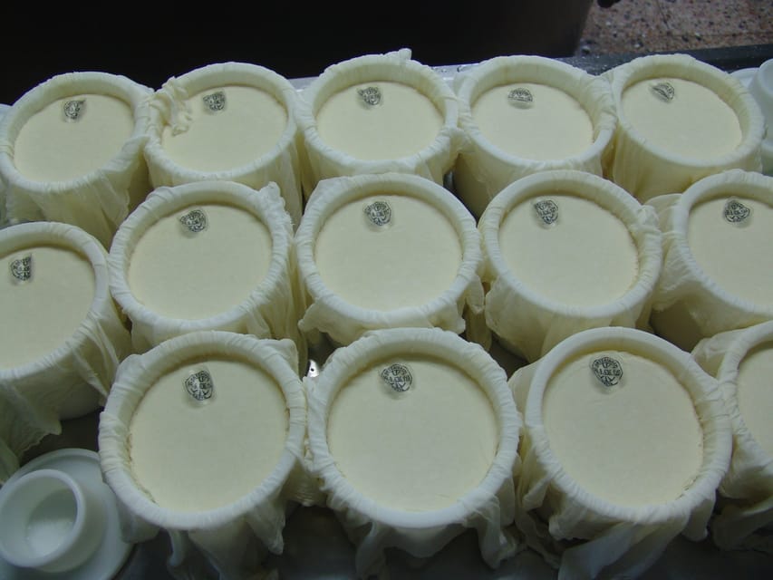 Idiazabal cheese tour from San Sebastian | GetYourGuide