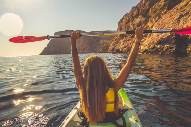 Cape Town: Guided Kayaking in Hout Bay | GetYourGuide