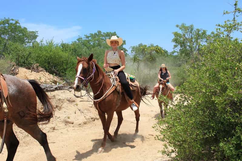 Los Cabos: The Great Fandango Horseback Riding Adventure | GetYourGuide