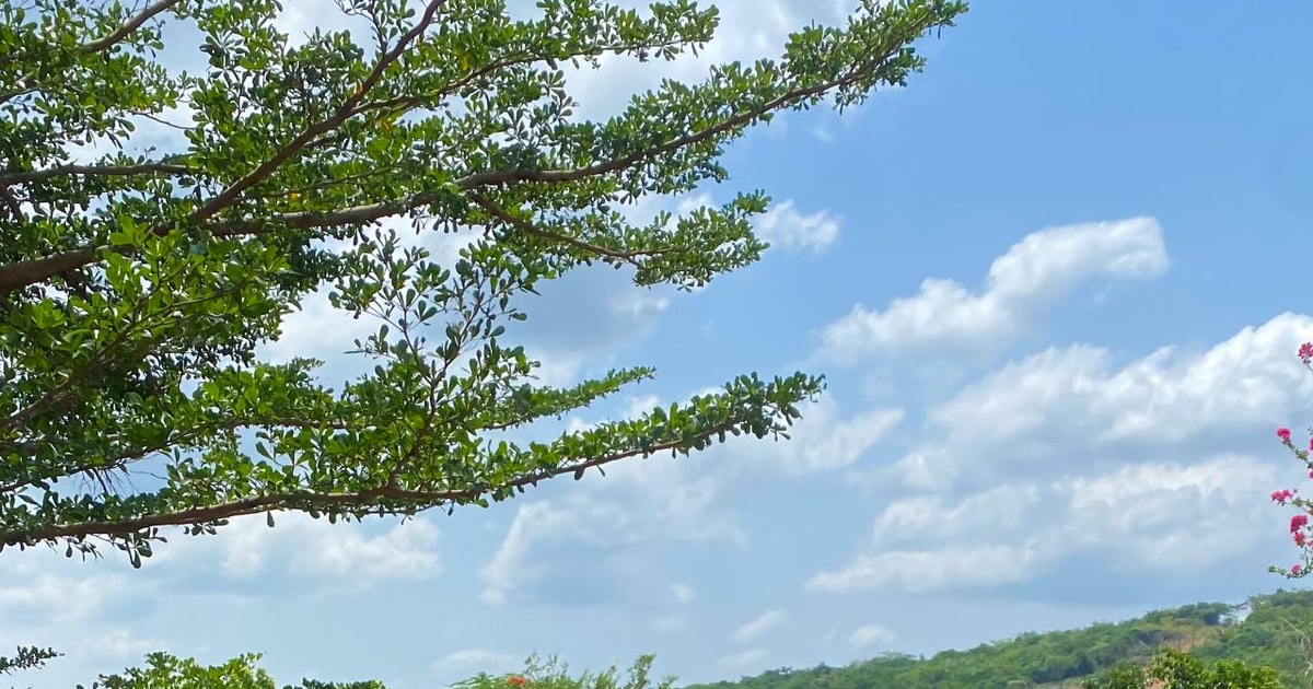 Desde Accra: excursión en quad, jardines de Aburi y cascadas con ...