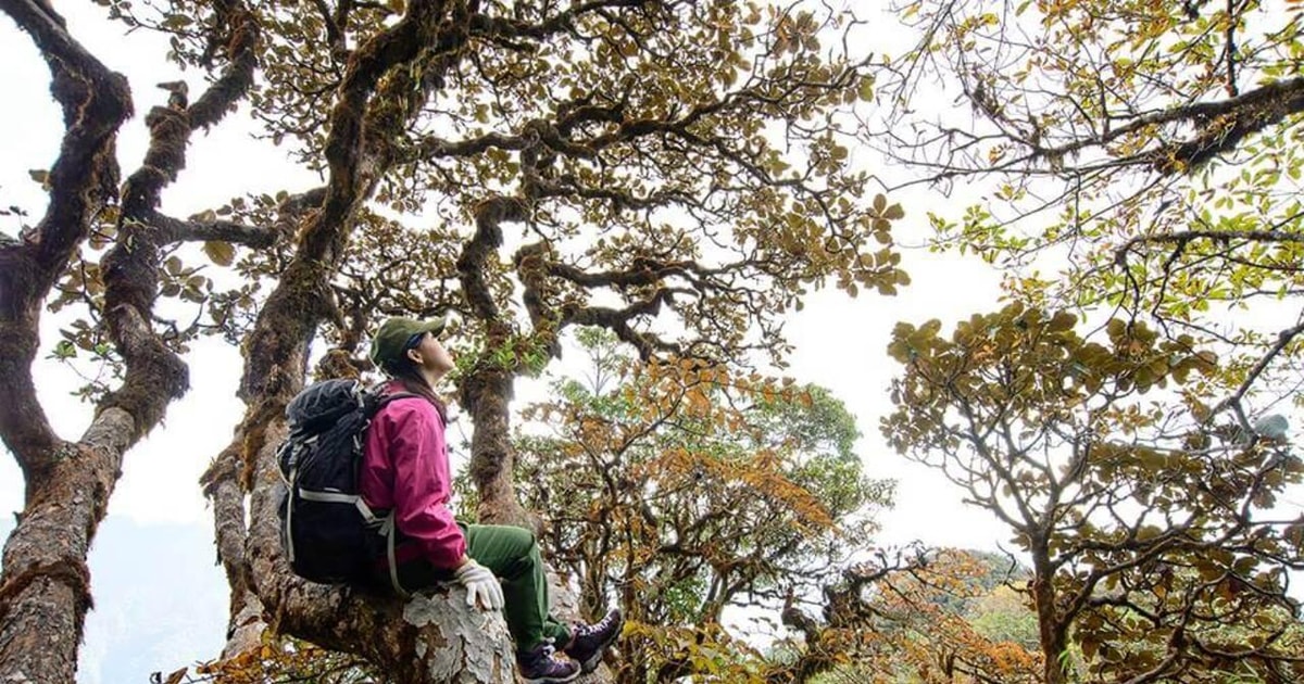 Von Hanoi: Trekking-Tour auf den Ta Liên Sơn mit einem lokalen Guide ...
