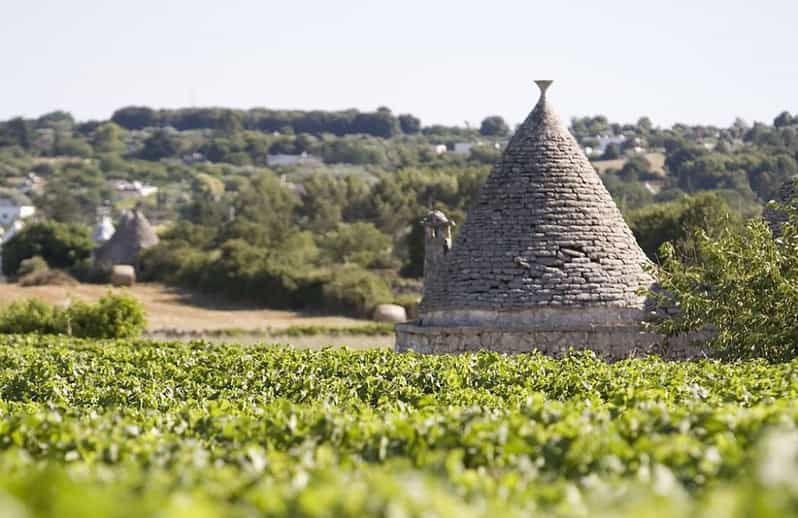 From Lecce: Full-Day Valle d'Itria Tour with Guide | GetYourGuide