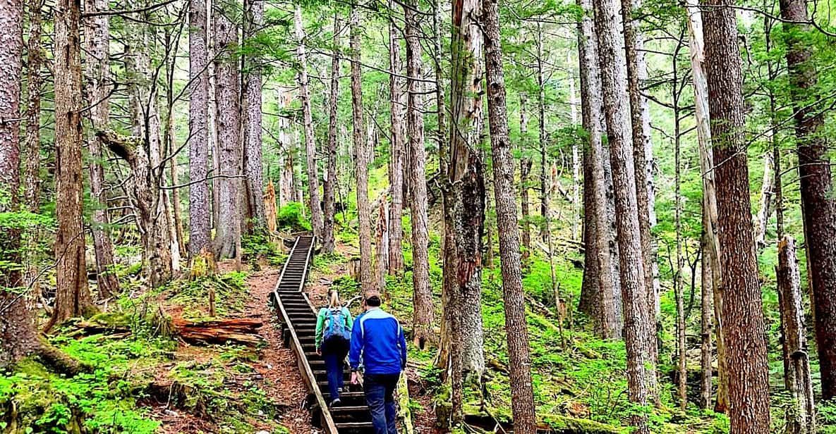 Guided Hike | TONGASS NATIONAL FOREST | GetYourGuide