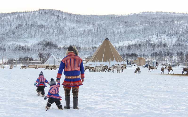Desde Tromsø: granja de renos y cultura sami | GetYourGuide