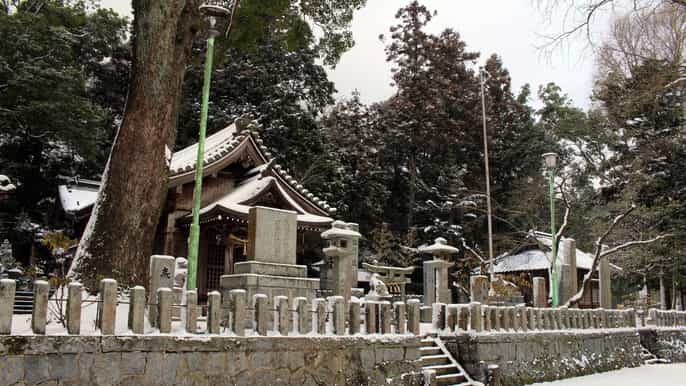 Fukuoka 2021: Top 10 Tours & Activities (with Photos) - Things to Do in ...