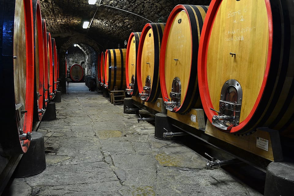 From Florence: Wine Tasting Tour at Historical Winery | GetYourGuide
