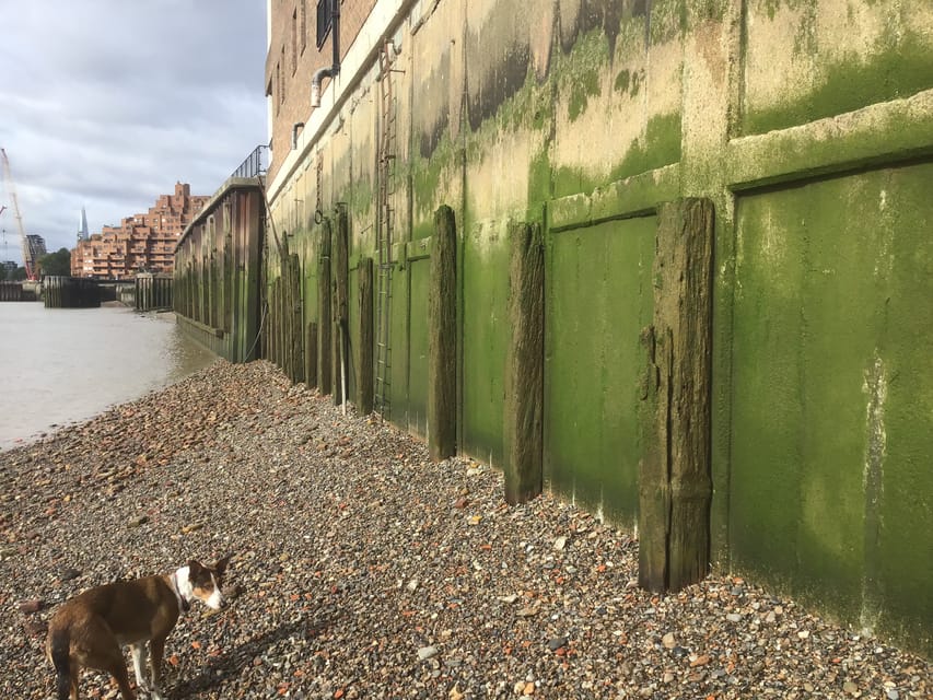London: Historic East London Wapping Tour | GetYourGuide