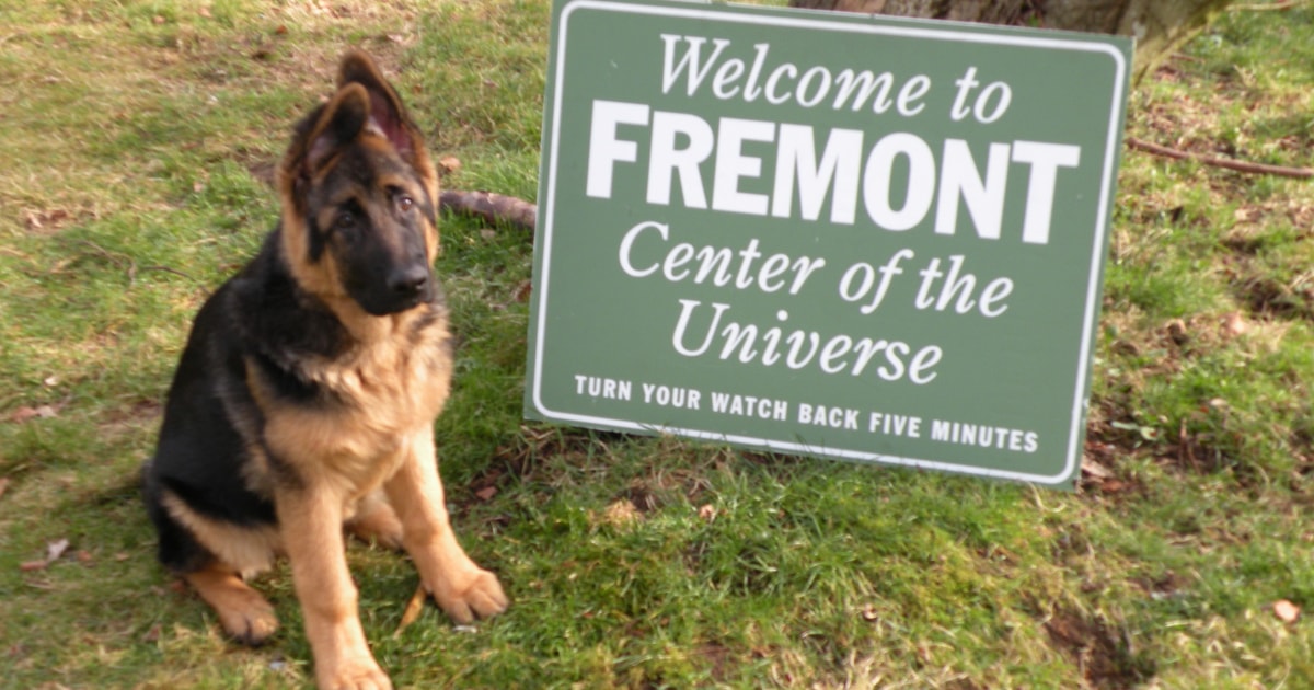Guided Public Art Walk of Seattle's Fremont District | GetYourGuide