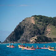 Byron Bay: Kayak with Dolphins Tour | GetYourGuide