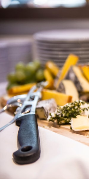 Vienna: Heurigen Cruise with Viennese Songs and Buffet | GetYourGuide