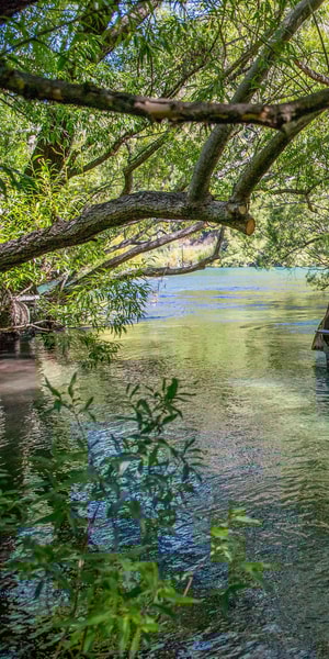 Queenstown: Shotover River and Kawarau River Jet Boat Ride | GetYourGuide