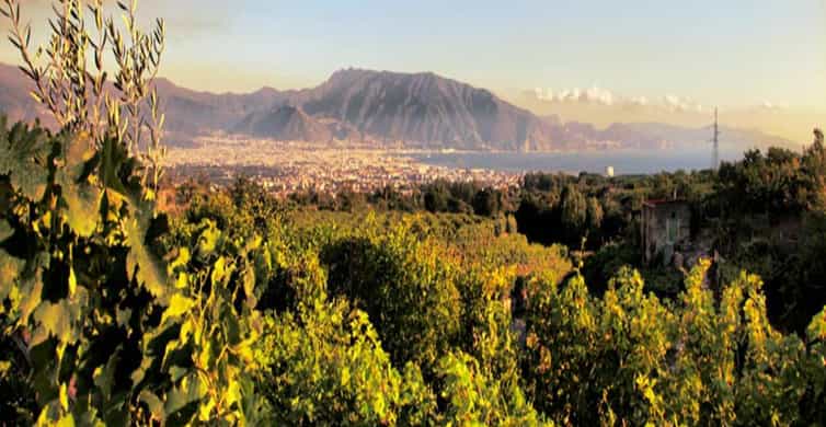 Mount Vesuvius Wine Tasting and Lunch from Pompeii | GetYourGuide
