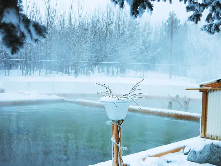Arctic Day: Wildlife & Hot Springs | Half Day | GetYourGuide