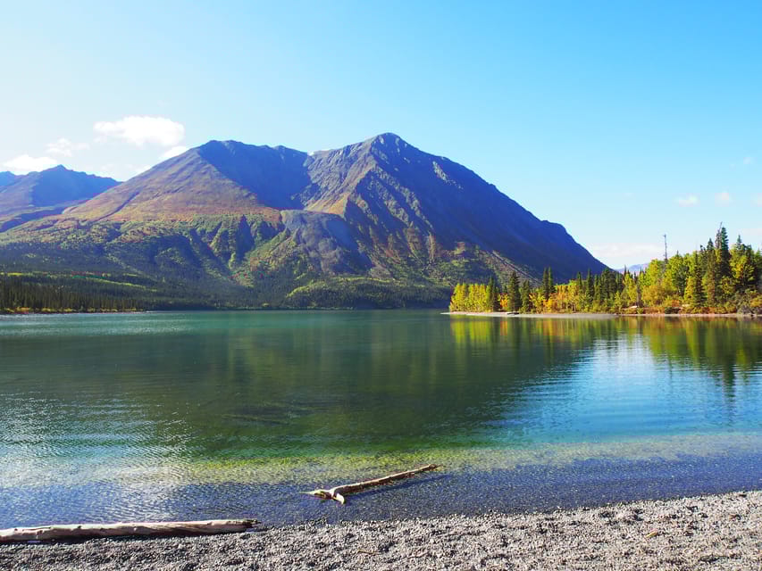 Kluane National Park: Full Day Tour | GetYourGuide