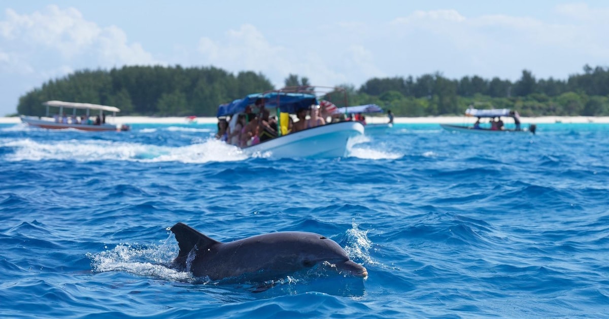 Excursión en barco a la isla de los delfines de Side con almuerzo y ...