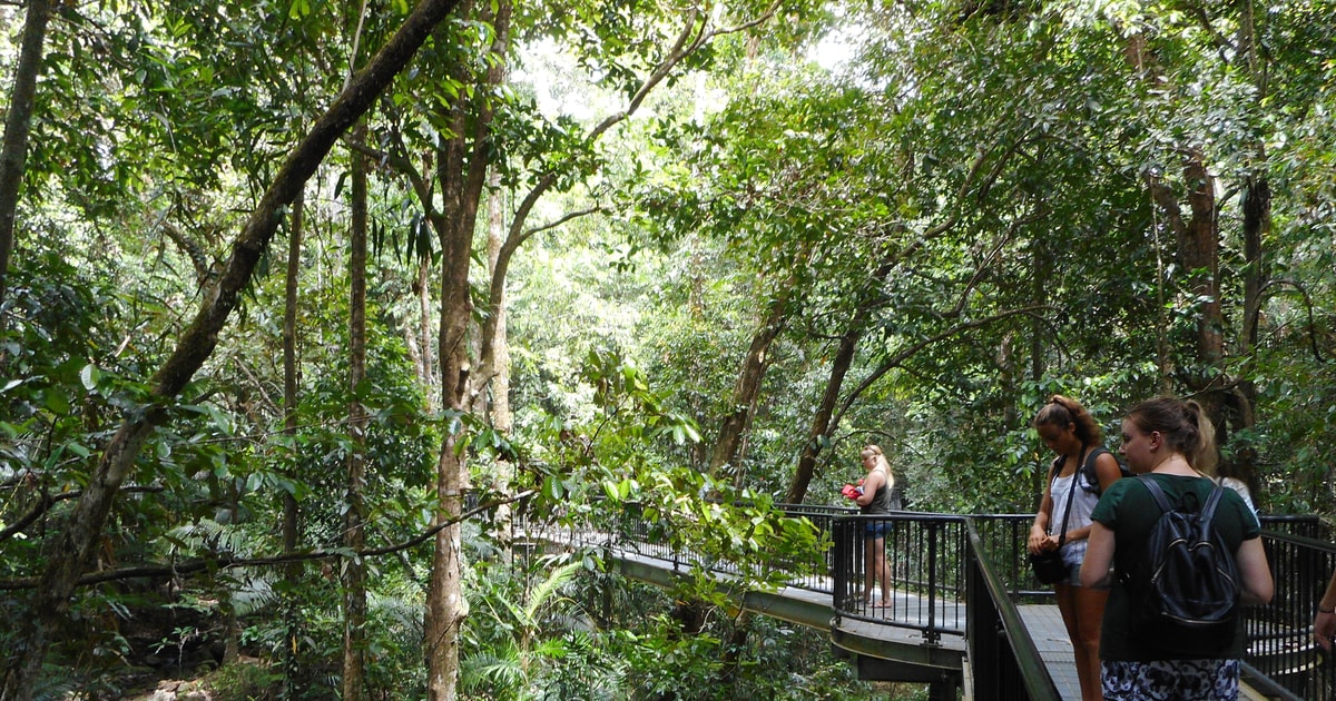2-Day Atherton Tablelands, Mossman Gorge and Daintree Tour | GetYourGuide