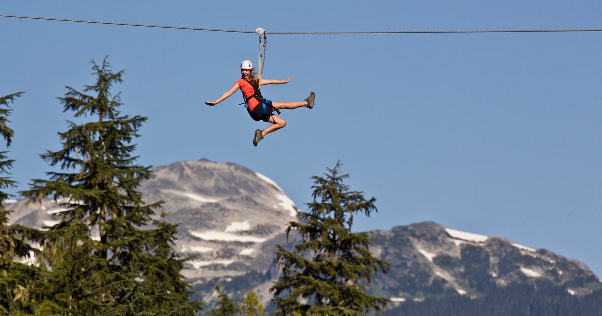 Whistler Zipline Experience: Ziptrek Bear Tour | GetYourGuide