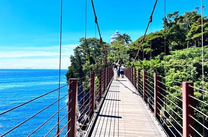Tokyo: Izu Hydrangea Ocean, Jogasaki Beach & Hot Spring Day | GetYourGuide
