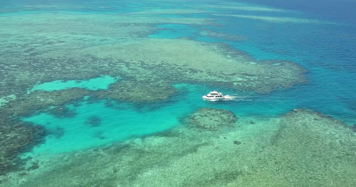 Mission Beach: Great Barrier Reef Snorkel or Dive Cruise | GetYourGuide
